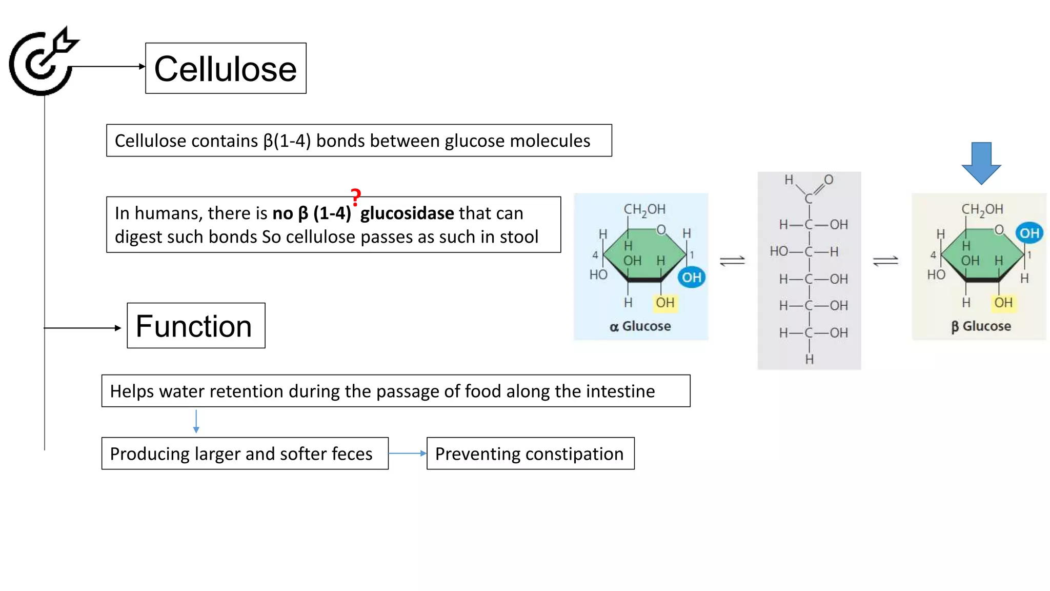Digestion of carbohydrates, proteins and lipids | PPTX