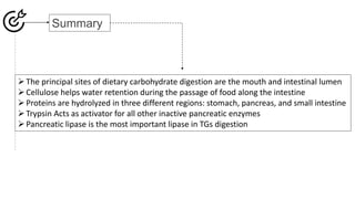 Digestion of carbohydrates, proteins and lipids | PPTX