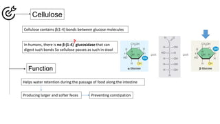 Digestion of carbohydrates, proteins and lipids | PPTX