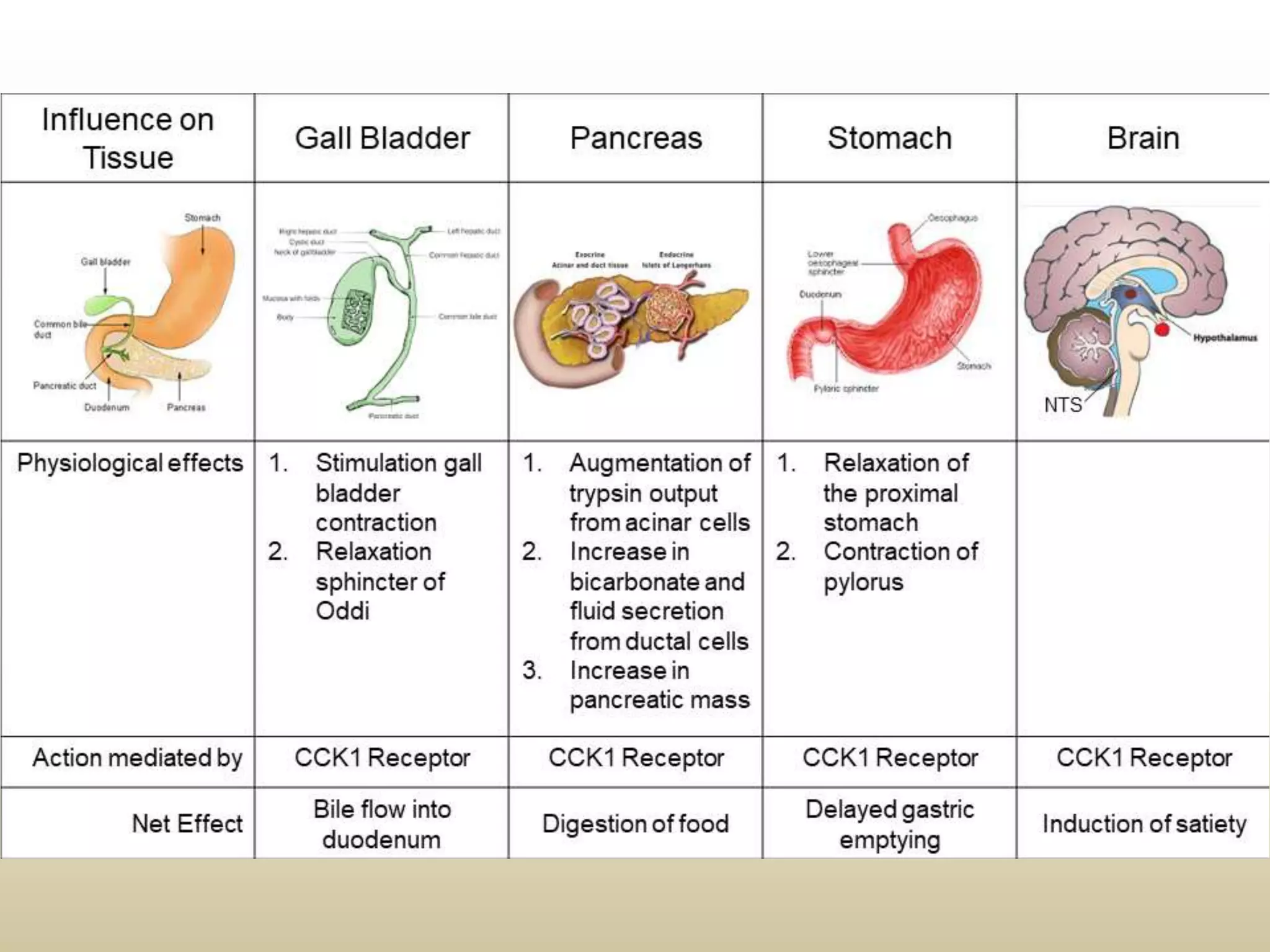 digestion of carbohydrates proteins fats.pptx