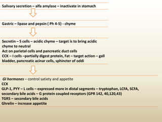 digestion of carbohydrates proteins fats.pptx