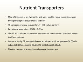 digestion of carbohydrates proteins fats.pptx