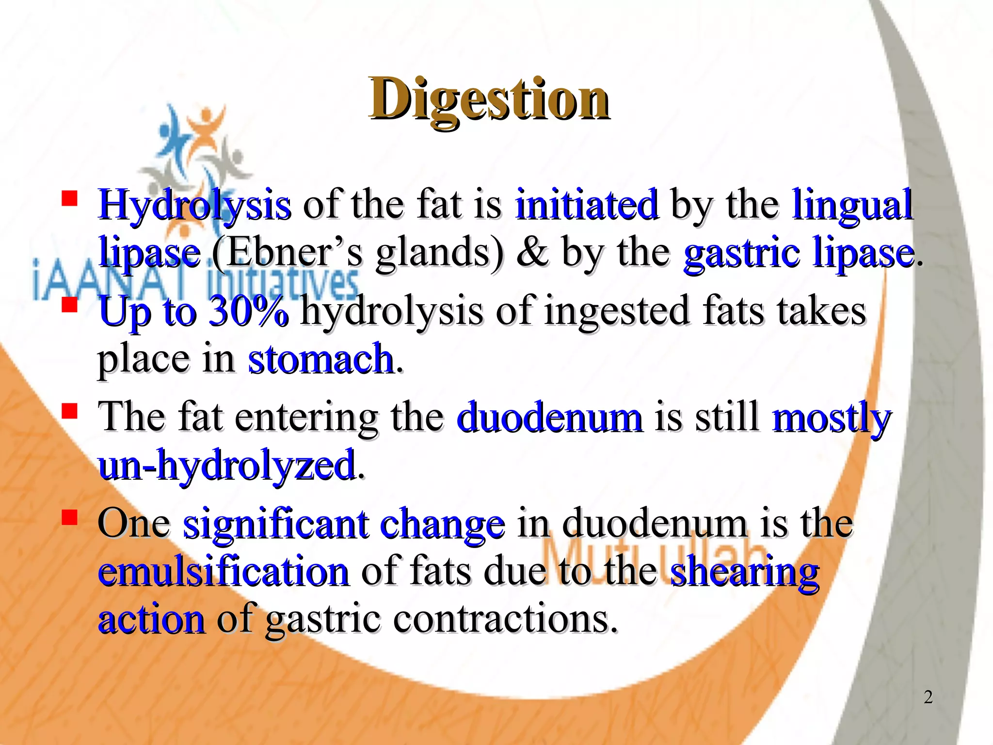 Digestion of fat | PPT