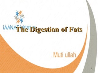 Digestion of fat | PPT