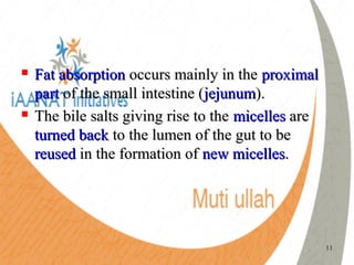 Digestion of fat | PPT