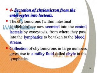 Digestion of fat | PPT