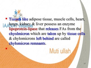 Digestion of fat | PPT