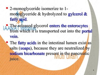 Digestion of fat | PPT