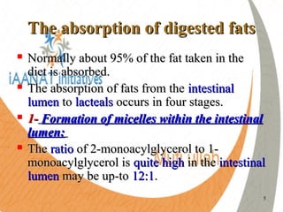 Digestion of fat | PPT