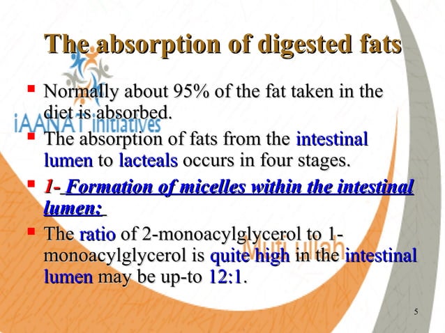 Digestion of fat | PPT