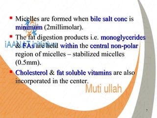 Digestion of fat | PPT