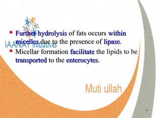 Digestion of fat | PPT