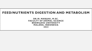 DIGESTION OF FEED-NUTRIENTS IN ANIMALS.pptx