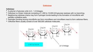 DIGESTION OF FEED-NUTRIENTS IN ANIMALS.pptx
