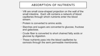 DIGESTION OF FEED-NUTRIENTS IN ANIMALS.pptx