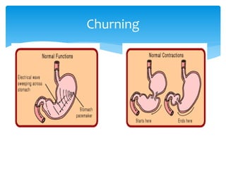 Digestion of food | PPT