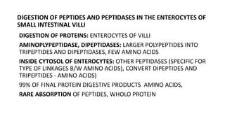Digestion of food | PPTX | Chemistry | Science