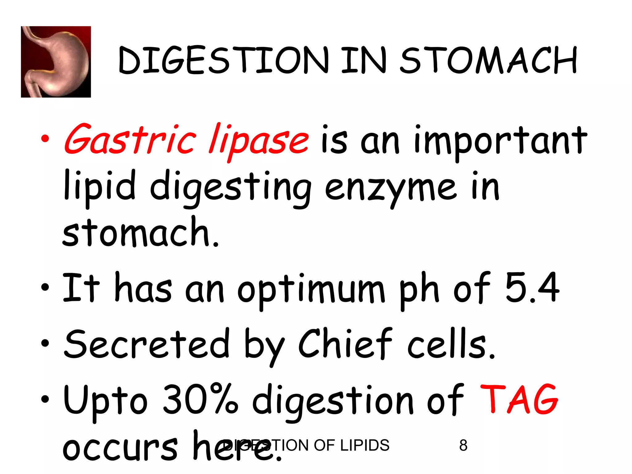 Digestion of lipids | PPT