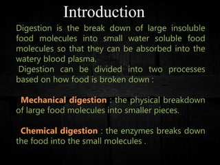 Digestion of lipids | PPTX