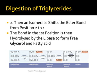 Digestion of Lipids | PPTX