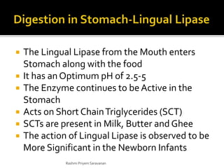 Digestion of Lipids | PPT