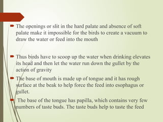 Poultry digestion in chickens found at GSA farm | PPTX