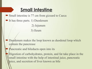 Poultry digestion in chickens found at GSA farm | PPTX