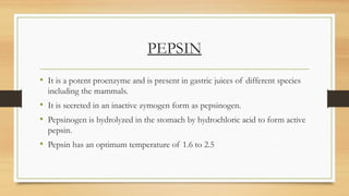 digestion_of_proteins [2].pptx biochemistry | PPT