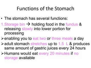 Digestion part 6.4 2019 Ontario Curriculum.ppt
