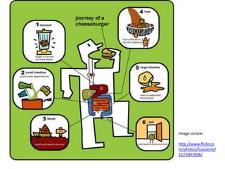 Digestion poster | PPTX