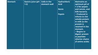 Power point on Digestion of food through digestive system | PPT