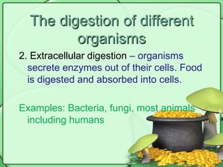 Extracellular Digestion Fungi
