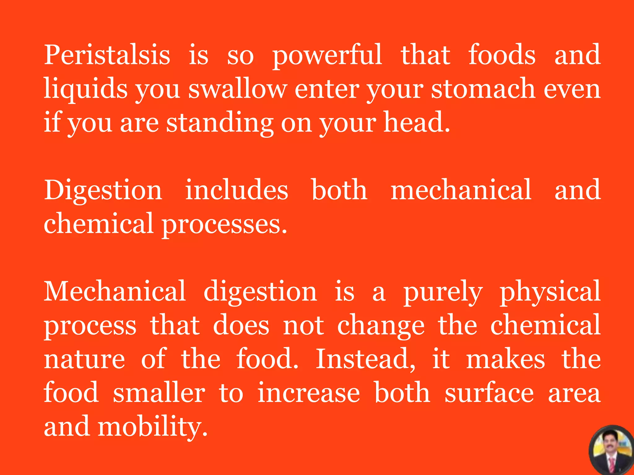 Digestion process in human | PPTX