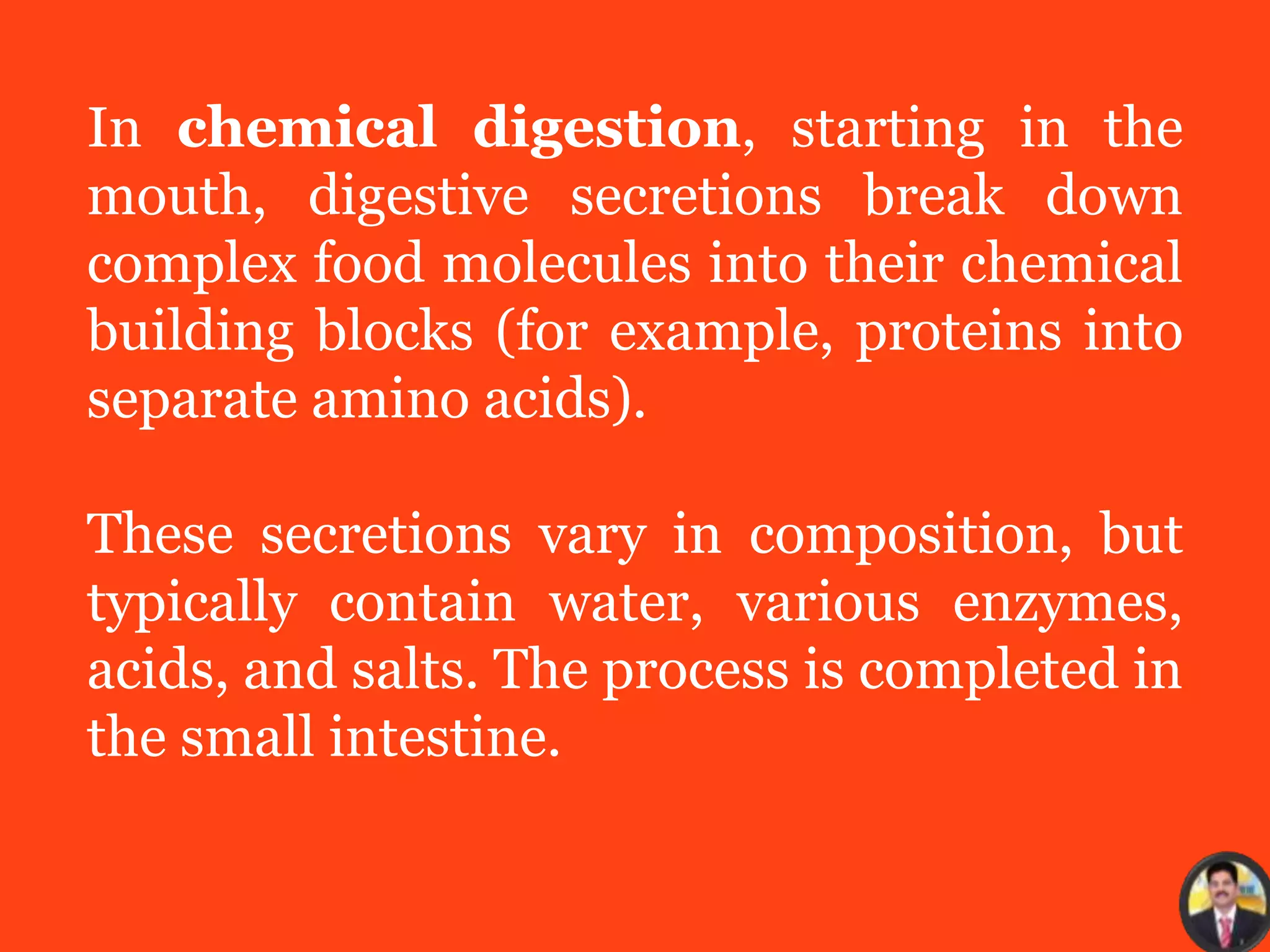Digestion process in human | PPTX