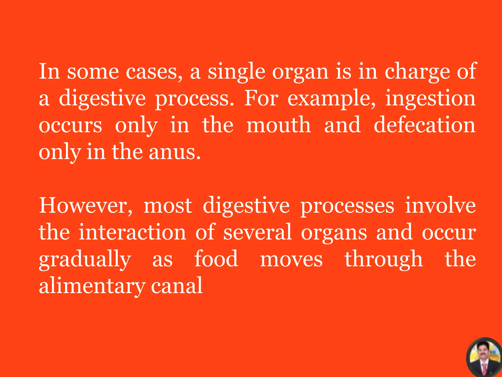 Digestion process in human | PPTX