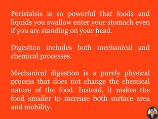 Digestion process in human | PPTX