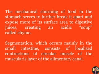 Digestion process in human | PPTX
