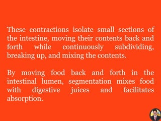 Digestion process in human | PPTX