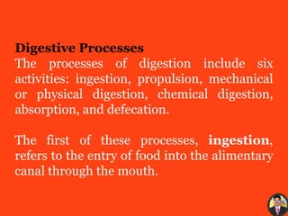 Digestion process in human | PPTX