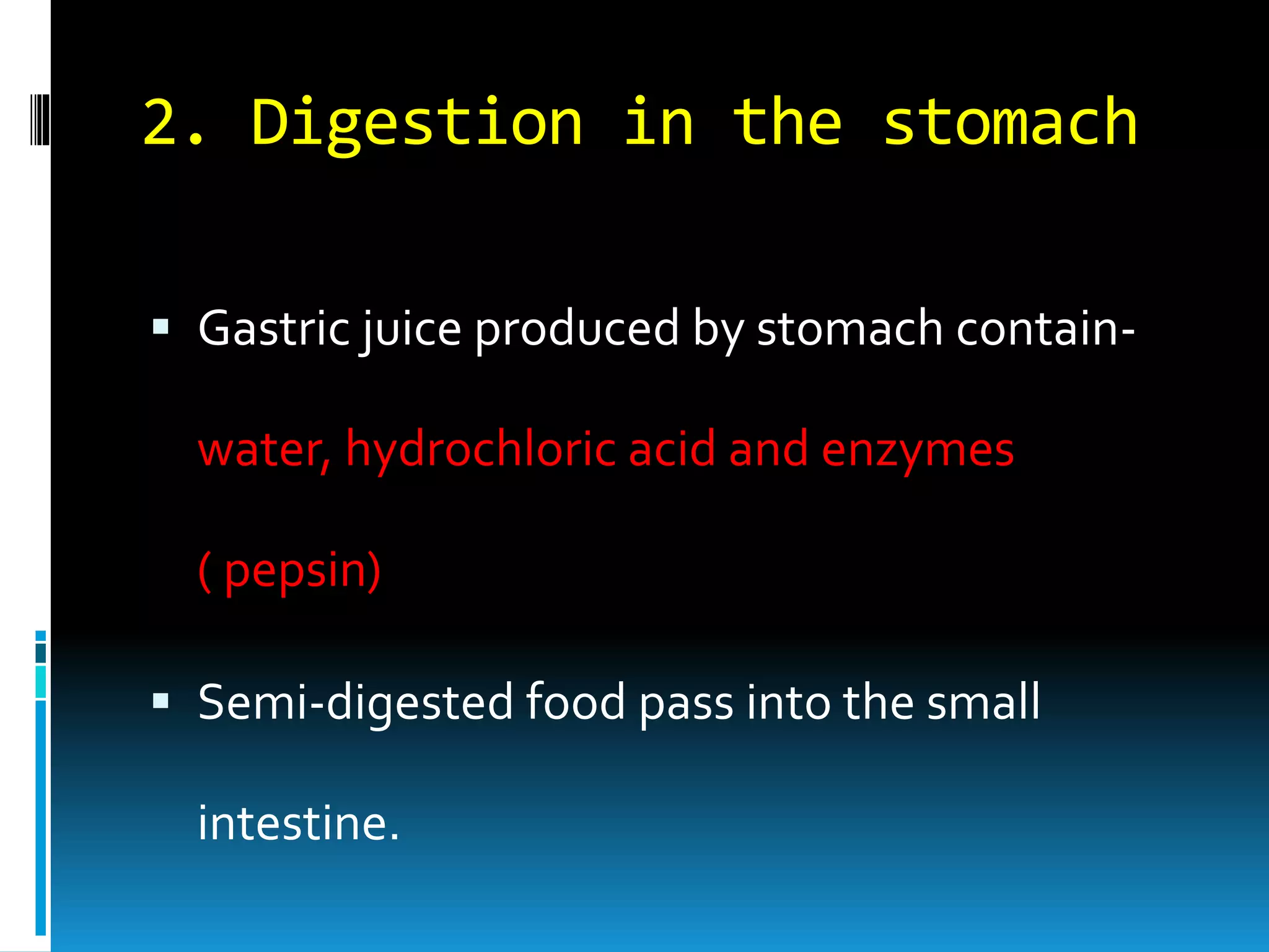 Digestion process | PPTX