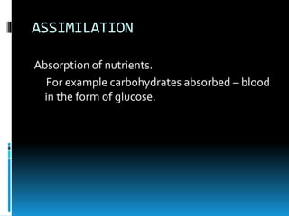 Digestion process | PPTX