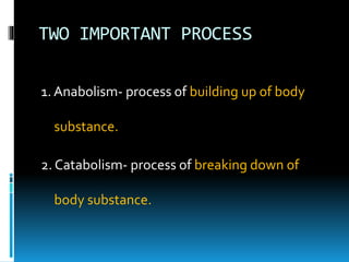 Digestion process | PPTX