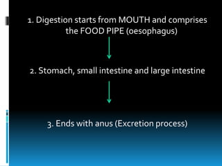 Digestion process | PPTX