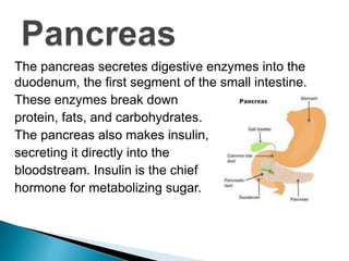 Digestion structure and_functions | PPT