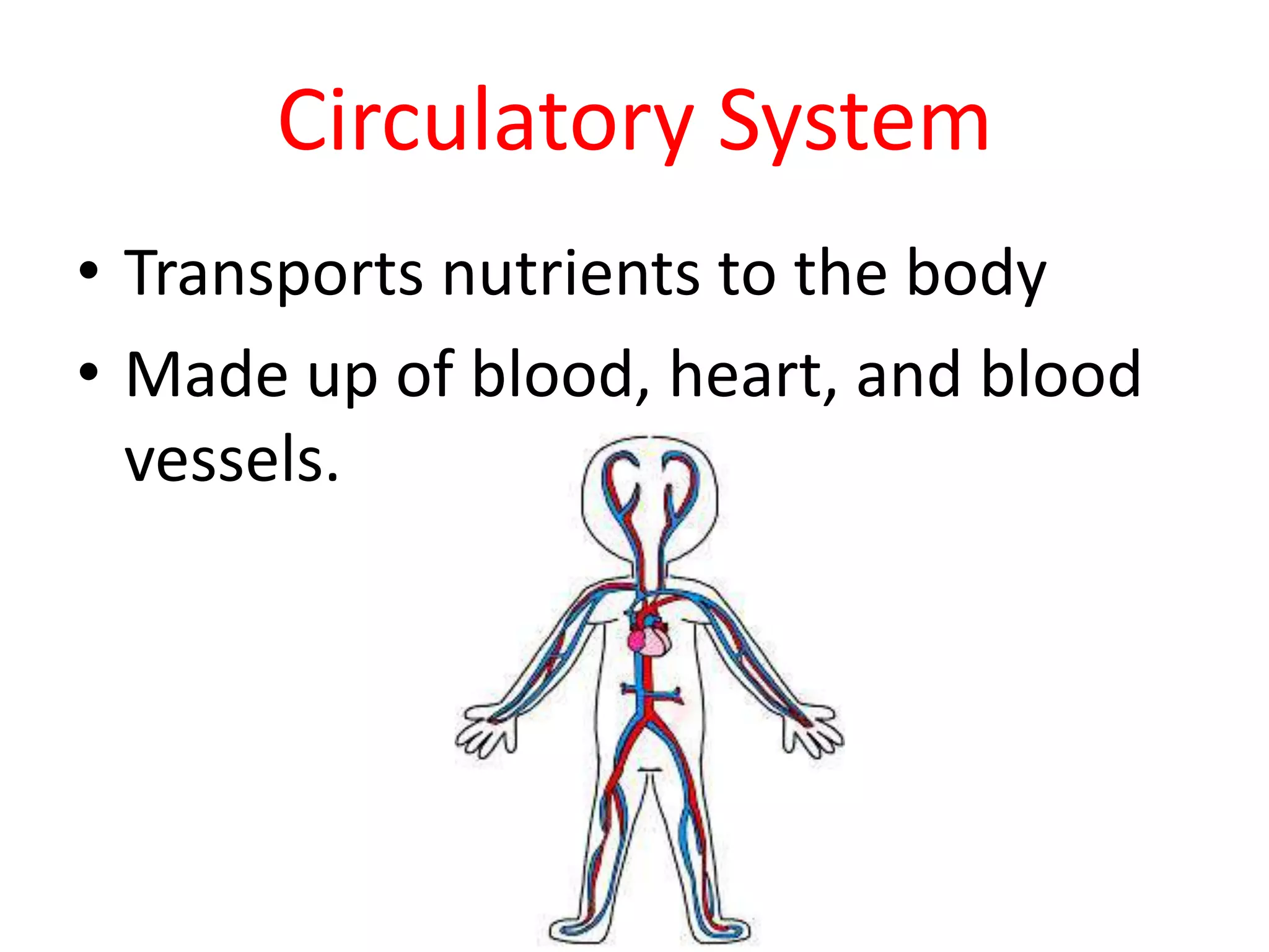Digestion system | PPTX