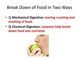 Digestion system | PPTX