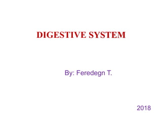 digestion system.pptx