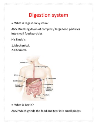 Digestion system.docx