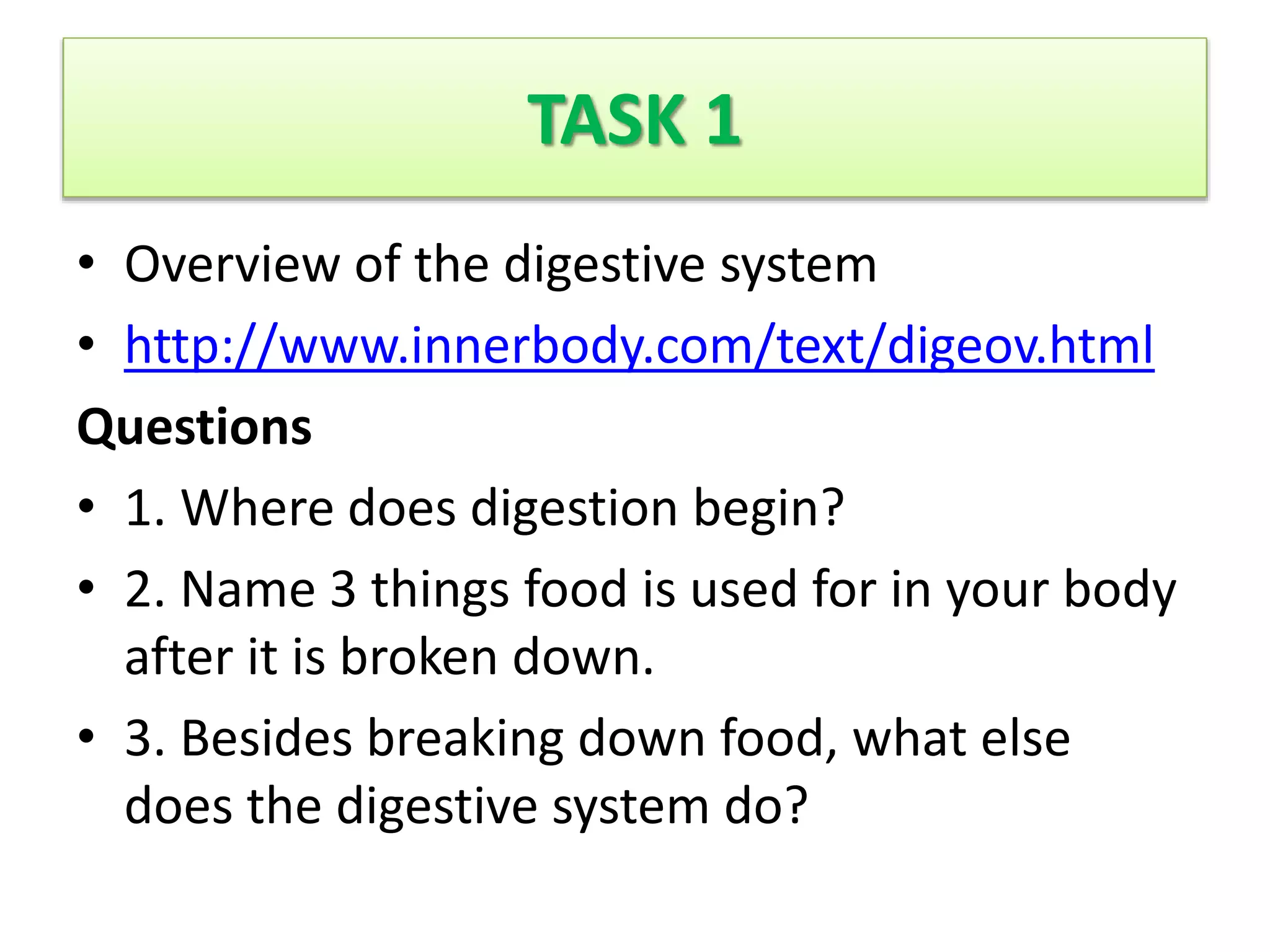 Digestion webquest ok | PPTX