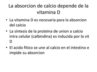 Digestion y absorcion de vitaminas y minerales.pptx